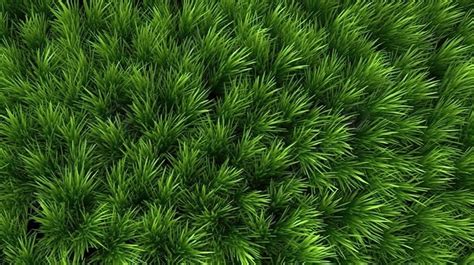 3d rendered grass texture for background 3d texture 3d realistic realistic background
