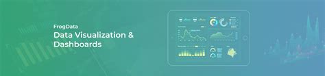 Business Intelligence System And Data Visualization Tool FrogData
