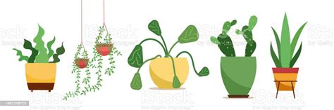 화분 벡터 일러스트 세트에 심습니다 만화 플랫 다른 실내 화분에 심은 장식 관엽 식물 인테리어 홈 또는 사무실 장식 녹색 정원 꽃 컬렉션 아이콘 흰색 격리 0명에 대한 스톡