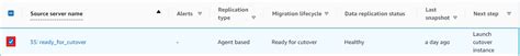 Launching A Cutover Instance Application Migration Service