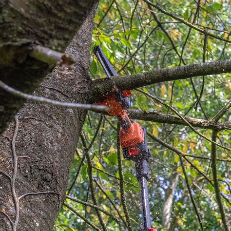 6 Cordless Mini Chainsaw 20v Brushless Motor 145 Ms Chain Speed