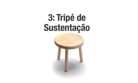 Defina Os Três Pilares Da Marca Renato Cavalher