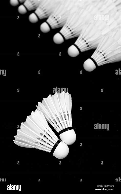 White Shuttlecock Isolated On Black Background Image Can Be Used As