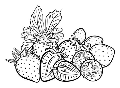 Strawberry Images Coloring Page Free Printable Coloring Pages