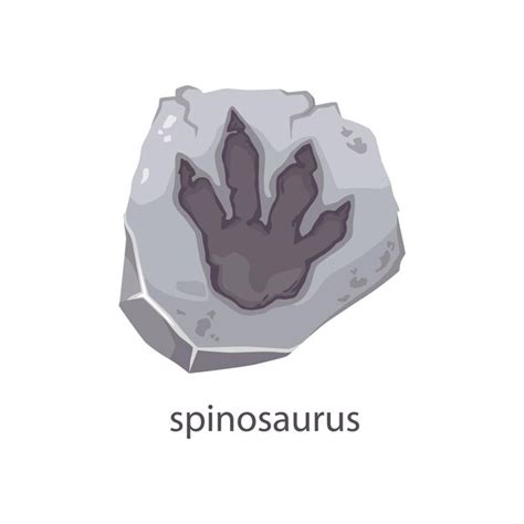Premium Vector Spinosaurus Dinosaur Footprint Stone Fossil