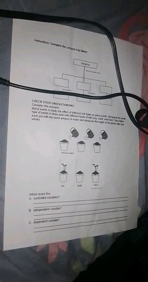 Instructions Complele The Concept Map Below StudyX