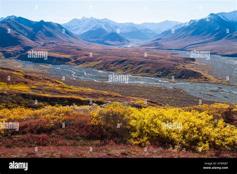 Colorful Tundra Scenic Denali National Park And Preserve Interior