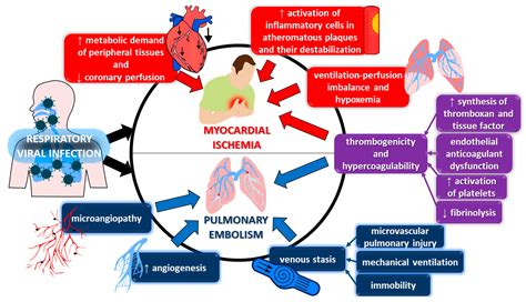 Viral Respiratory Infection