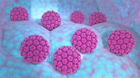 Hpv