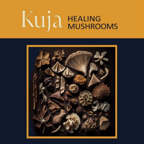 Kuja Pitzer Health Adventure