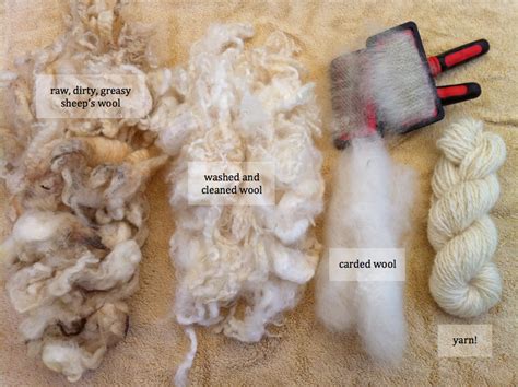 Processing Raw Fleece Yarn Crafts Wool Yarn Yarn Projects