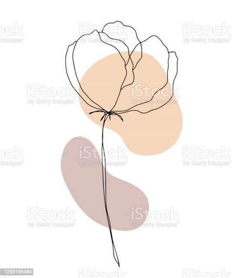 한 줄 드로잉 잉크 플라워가 있는 최소한의 카드 플로럴 아트 디자인 0명에 대한 스톡 벡터 아트 및 기타 이미지 0명 고풍스런 꽃 나무 Istock