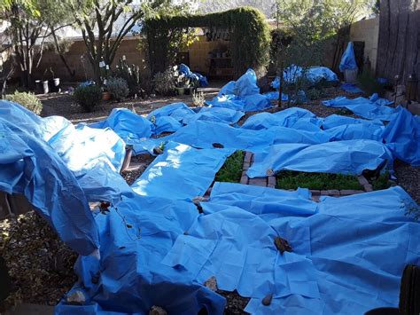 Case Based And Differential Diagnosis Book Resource For Learning Radiology Radiology Resident