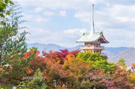 Photolibrary
