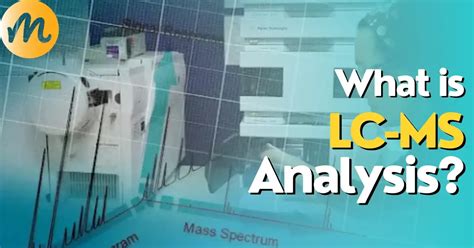 What Is Lc Ms Analysis