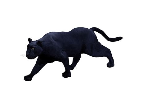 Black Panther Free 3d Model On