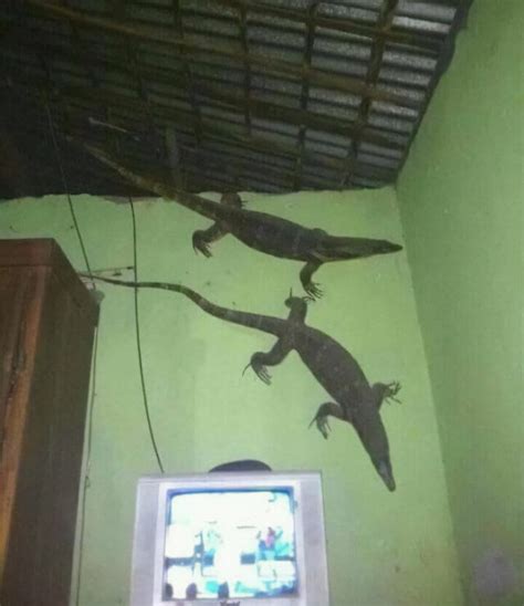 30 Funny Photos To Show Hilarious Things That Are Normal In Brazil