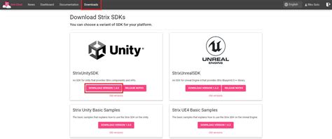 Setting Up The Development Environment And Server Strix