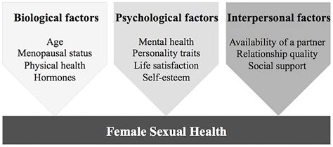 Frontiers Psychobiological Factors Of Sexual Functioning In Aging