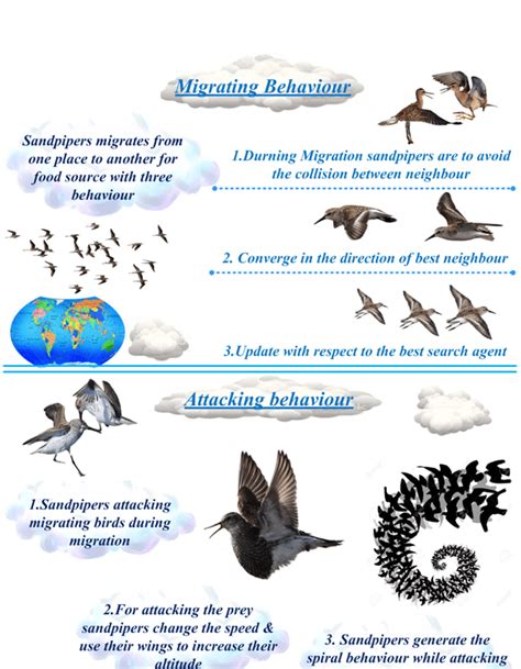 Sandpiper Optimization Algorithm Soa A New Approach To Solve Challenging Real Life Problems