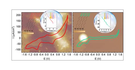 Effect Of Electrode Surface Chemistry On Ion Structuring Of Imidazolium Ionic Liquids Langmuir