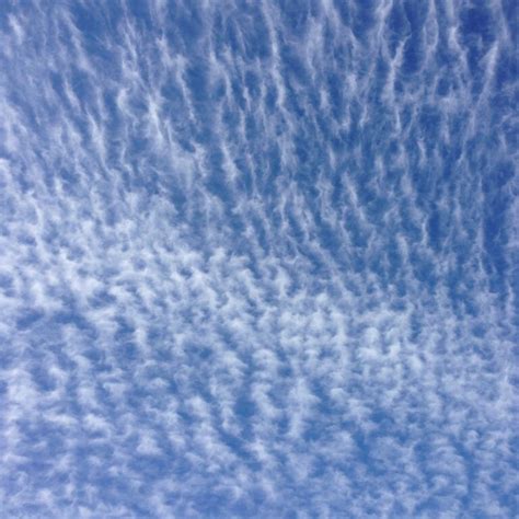 Altocumulus Cloud Appreciation Society