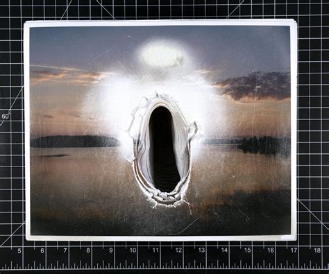 Lilly Mcelroy — Absurdity Is A Protest Art Papers Living And Working