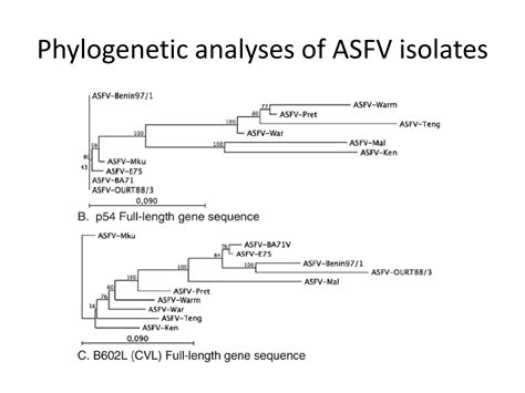 Asfv Genome Sequencing Pdf