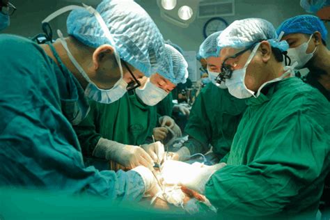 Liver Stent Surgery 7 Key Reasons For Bile Duct Stent Placement Liv