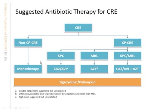 临床医生为何需要了解细菌耐药的分子流行病学 贪吃的夜猫子