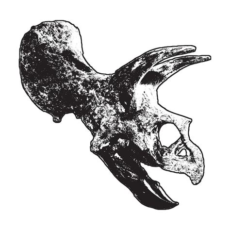 Triceratops Skull Tattoo Images Free Download On Freepik