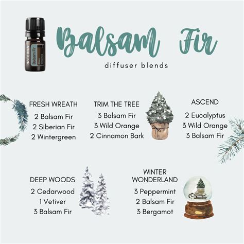 Balsam Fir Diffuser Blends Essential Oil Diffuser Blends Recipes
