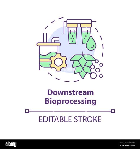 Downstream Bioprocessing Multi Color Concept Icon Stock Vector Image