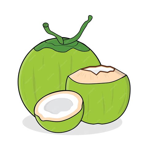 Coco Fresco Agua De Coco Vector De Coco Diseño De Logotipo Ilustración