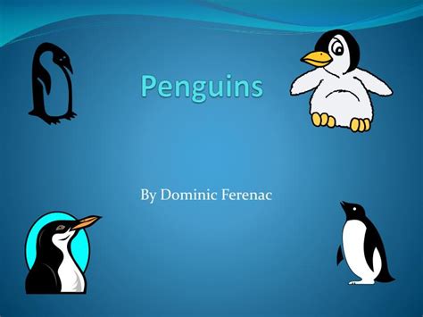 Ppt Penguins Powerpoint Presentation Free Download Id1947802