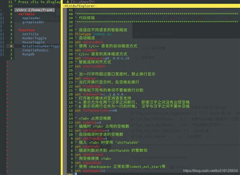 [vim] vim 实用插件整理 vim set rtp是什么 csdn博客