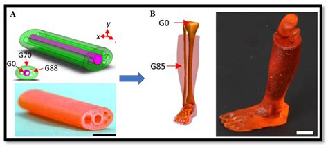 Functionally Graded Metamaterials Fabrication Techniques Modeling And Applications—a Review
