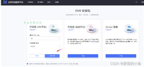 达梦数据库安装（dm8）新版 Windows11下安装及超详细使用教程 Csdn博客