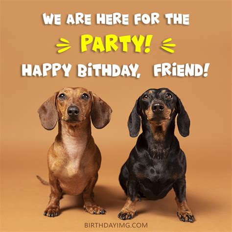 Free Friend Happy Birthday Image With Funny Dachshunds