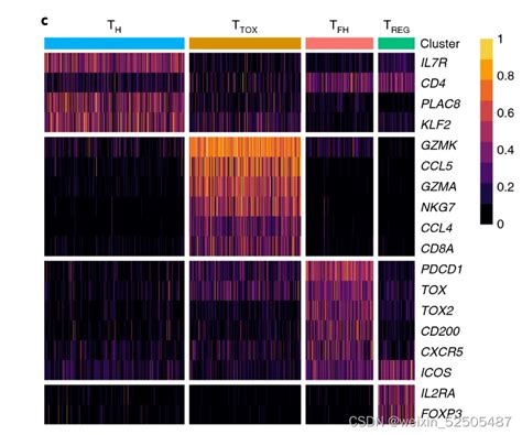 单细胞测序分析 T细胞注释 T细胞亚群注释 Csdn博客