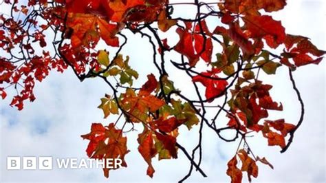 Shades Of Autumn Bbc Weather