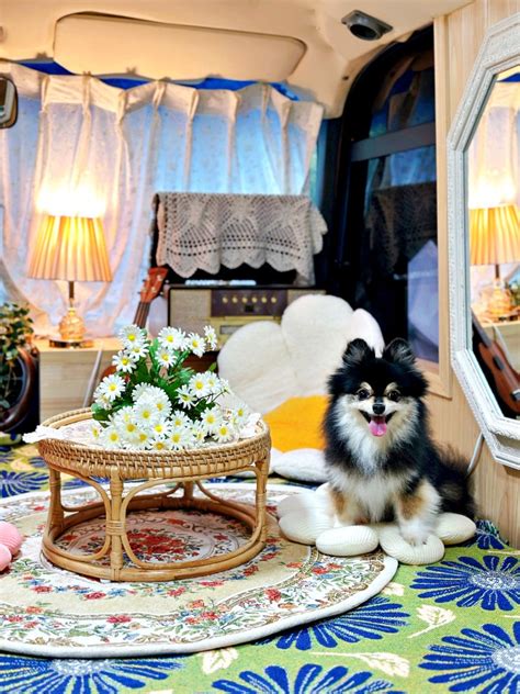 가평감성글램핑 가평 리틀포레스트 캠핑장 추천 애견동반 가능 카라반 네이버 블로그