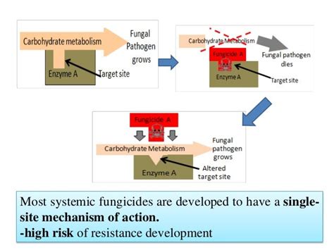 Fungicide Resistance And Its Management
