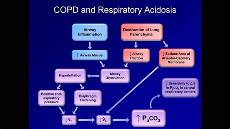 Respiratory Acidosis Gas At David Laramie Blog