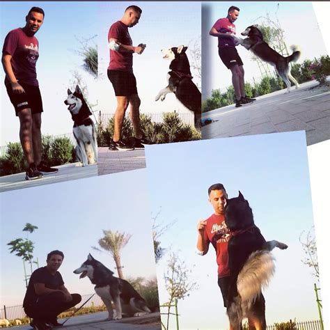 Instagram Photo By Ahmed Hany Abdelkader • Aug 20 2018 At 7 44 Am