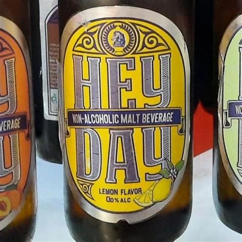 خرید و قیمت دلستر شیشه ای 330 میلی لیتر هی دی با طعم های مختلف ترب