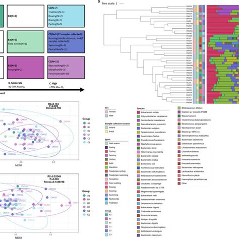 diversity and composition of the gut microbiome a classification of