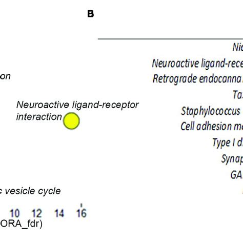 Differential Gene Expression Pathway Analysis Adavita Ipathway Guide