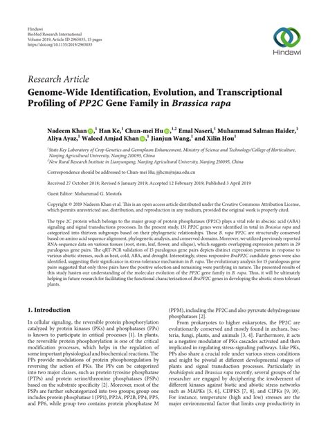 Pdf Genome Wide Identification Evolution And Transcriptional
