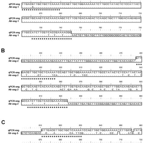 Sequence Alignment Of Quantitative Reverse Transcription Polymerase Download Scientific Diagram